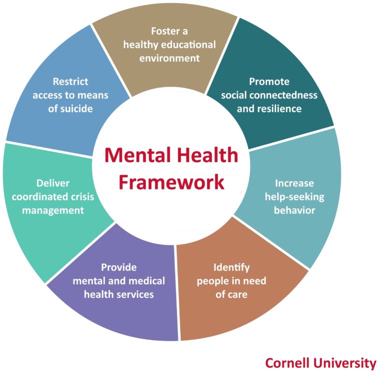 mental health framework