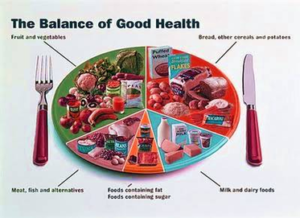 Diabetes Diet Plan Image - Graph Diagram