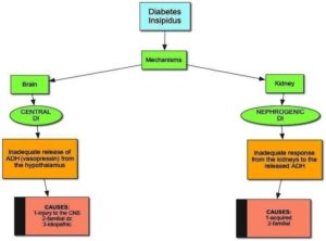 Diabetes Insipidus Part Image