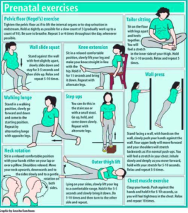 Diagram Prenatal Exercise Illustration Image