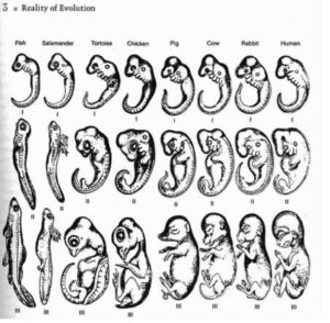 Dott Prothero Sm Image