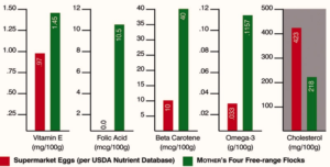 Egg Nutrition Chart Image