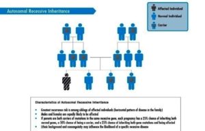 Recessive Inheritance Image - Graph Diagram