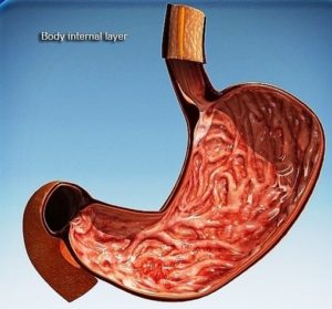 Graph Diagram – Human Anatomy Diagrams