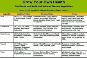 Vegetable Nutrition Chart Diagram Image - Graph Diagram